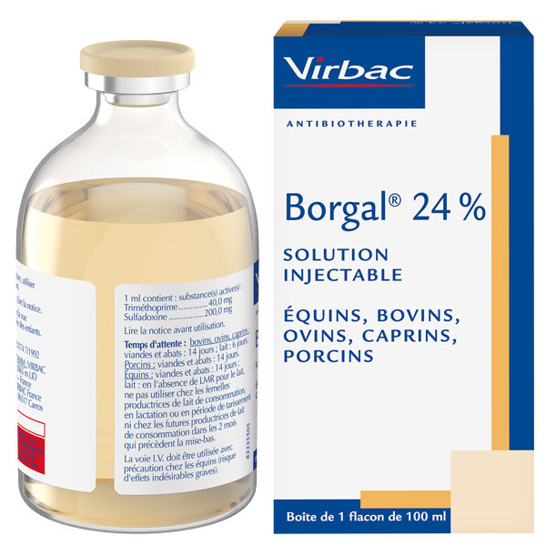 Borgal Solution Injectable Bovin Ovin Caprin Equin Porcin | Virbac